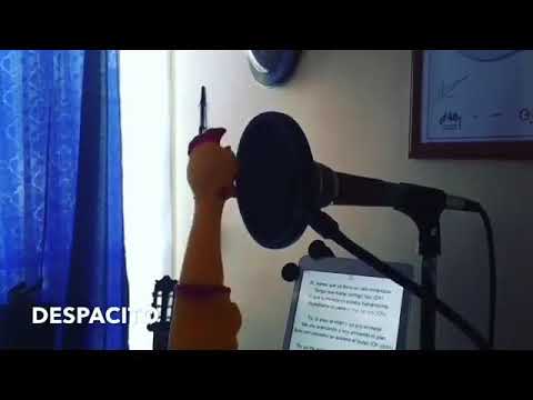 Oyuncak Tavuk İle Despacito