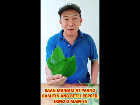 Ikmo or Bettle Pepper benefits - YouTube