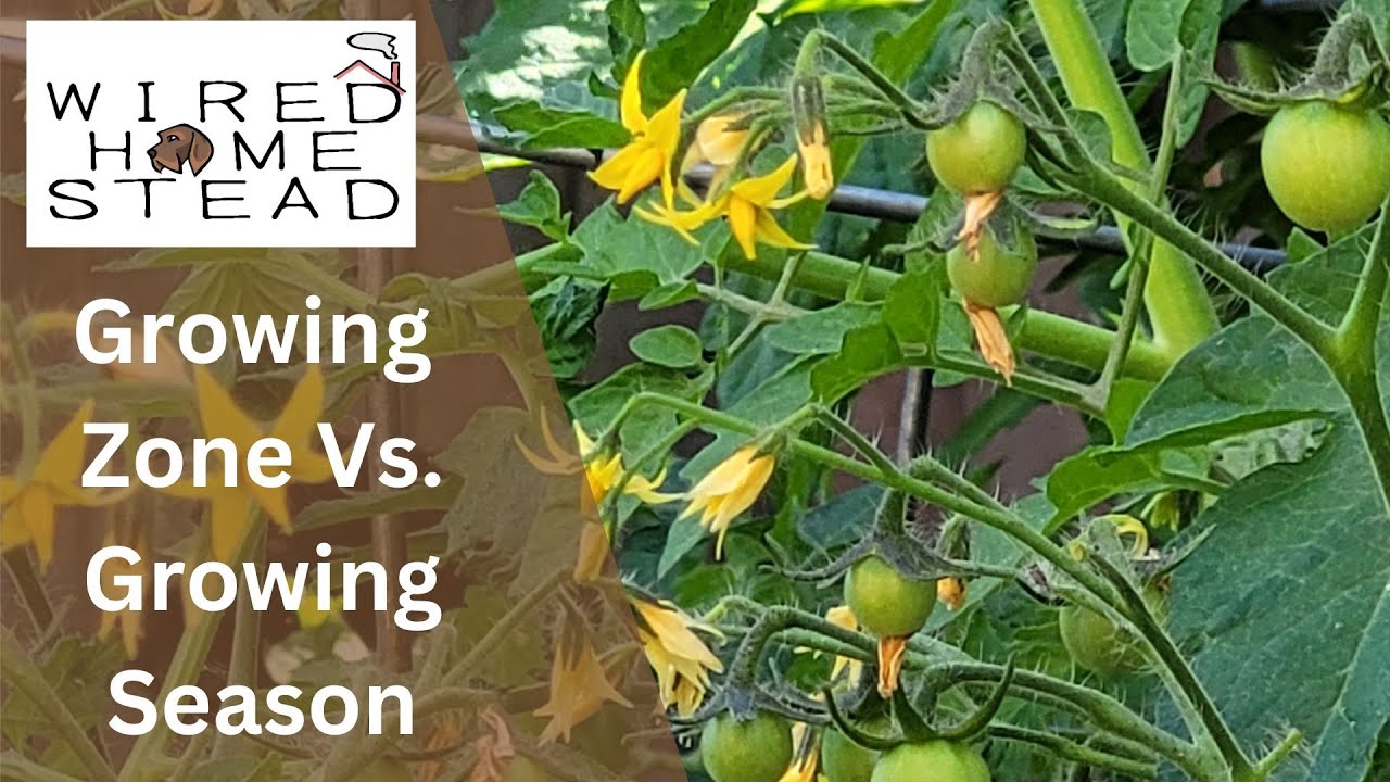 What Are Growing Zones | Learning Your Growing Season | Starting a ...