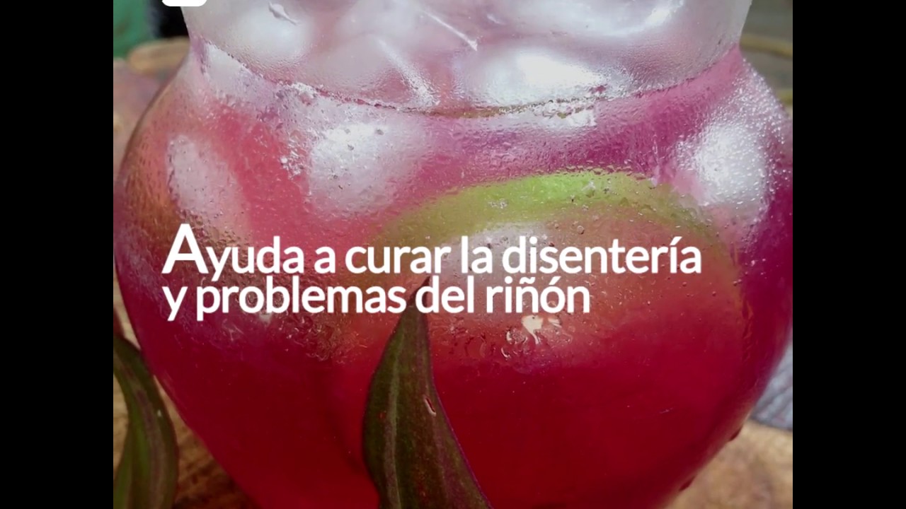 Agua de #Matalí para curar problemas de salud - YouTube