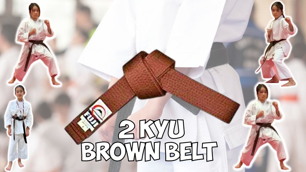 BROWN BELT 2 KYU GRADING | EVERYTHING YOU NEED TO KNOW - YouTube