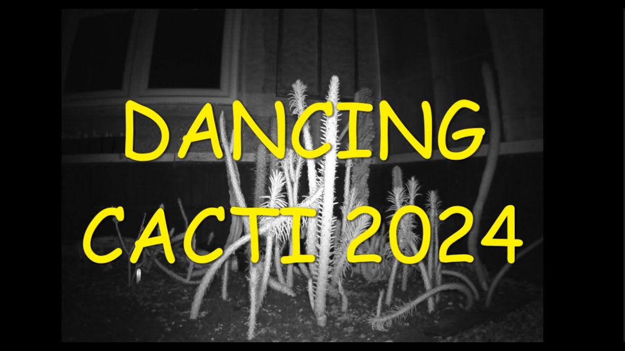 Dancing Cacti 2024 🌵🌵🌵 - YouTube