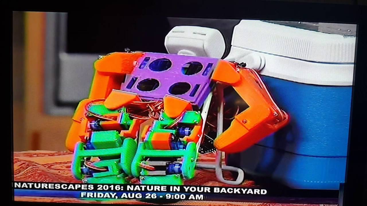 Peter Romine and Ericka Begody interview - YouTube