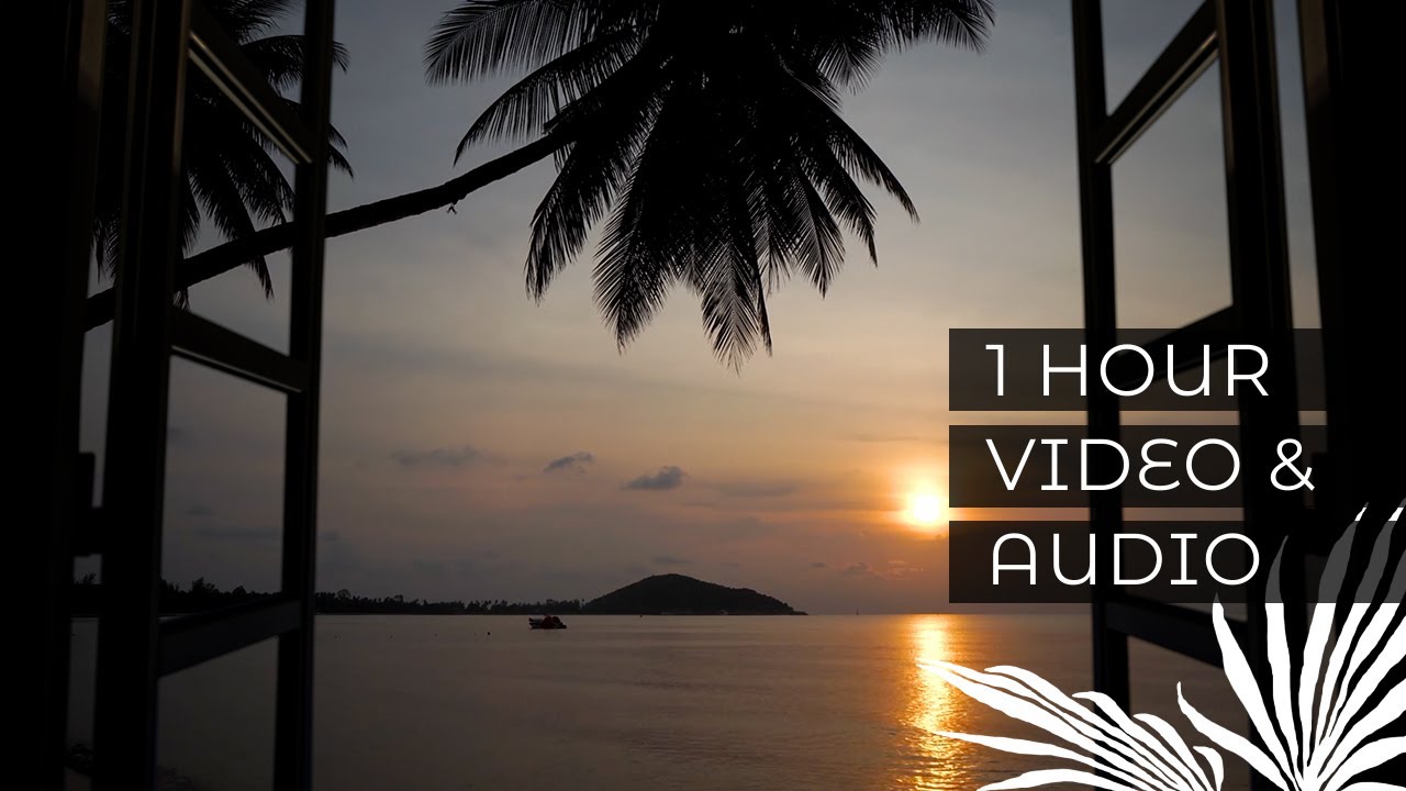 Beach Sunset • Fake Window • 1 HOUR • looping video with nature sounds ...