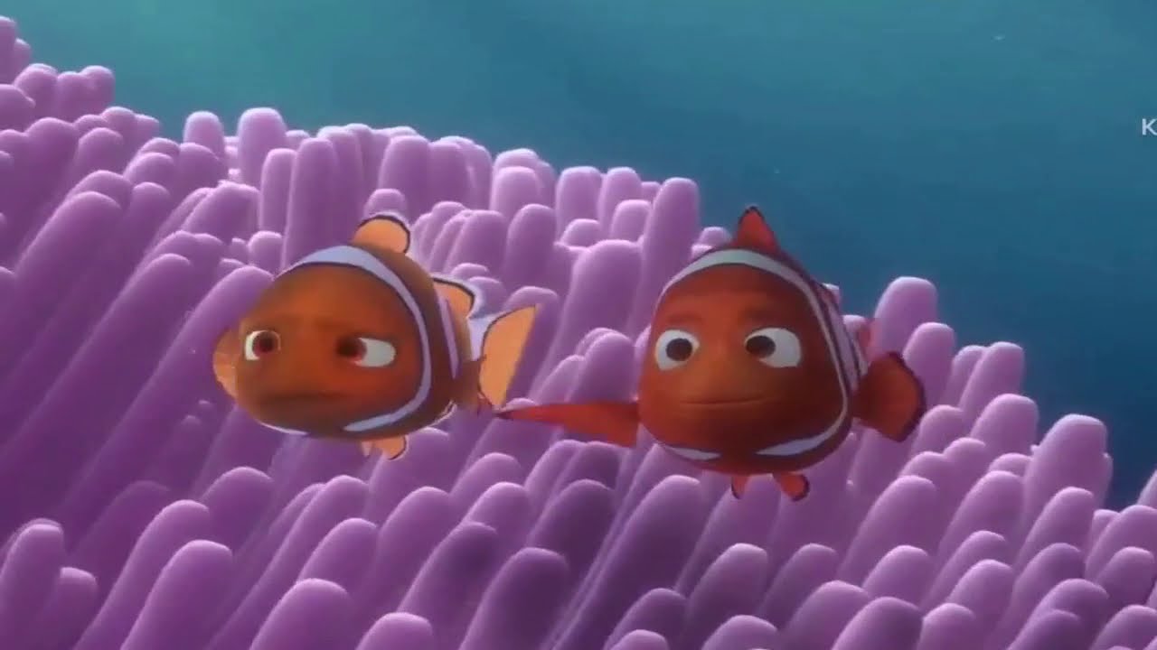Finding Nemo DVD Full Screen on TV - YouTube