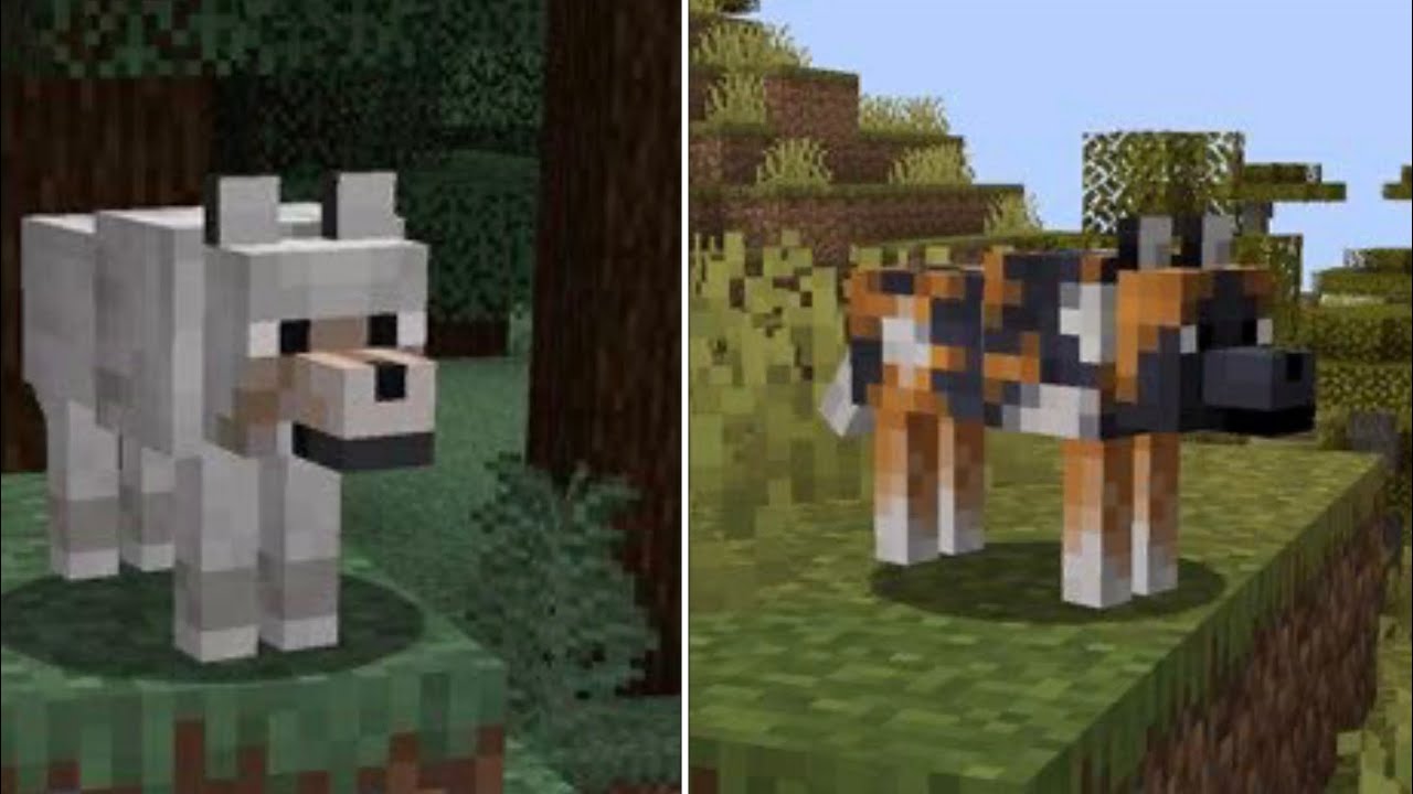Fire wolf’s pack and normal wolf pack/welcome to the pack /we’re back ...