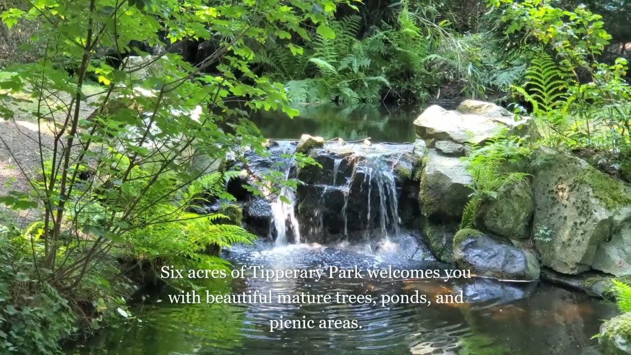 🇨🇦 Summer Walk by The Hill, New West BC Canada. - YouTube