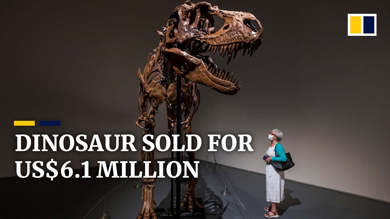 Rare dinosaur skeleton sells for US$6.1 million at auction in New York ...