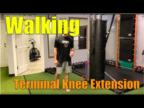 Terminal Knee Extension While Walking - YouTube