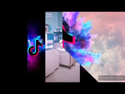 Dj Bella Tiktok compilation request dance challenged