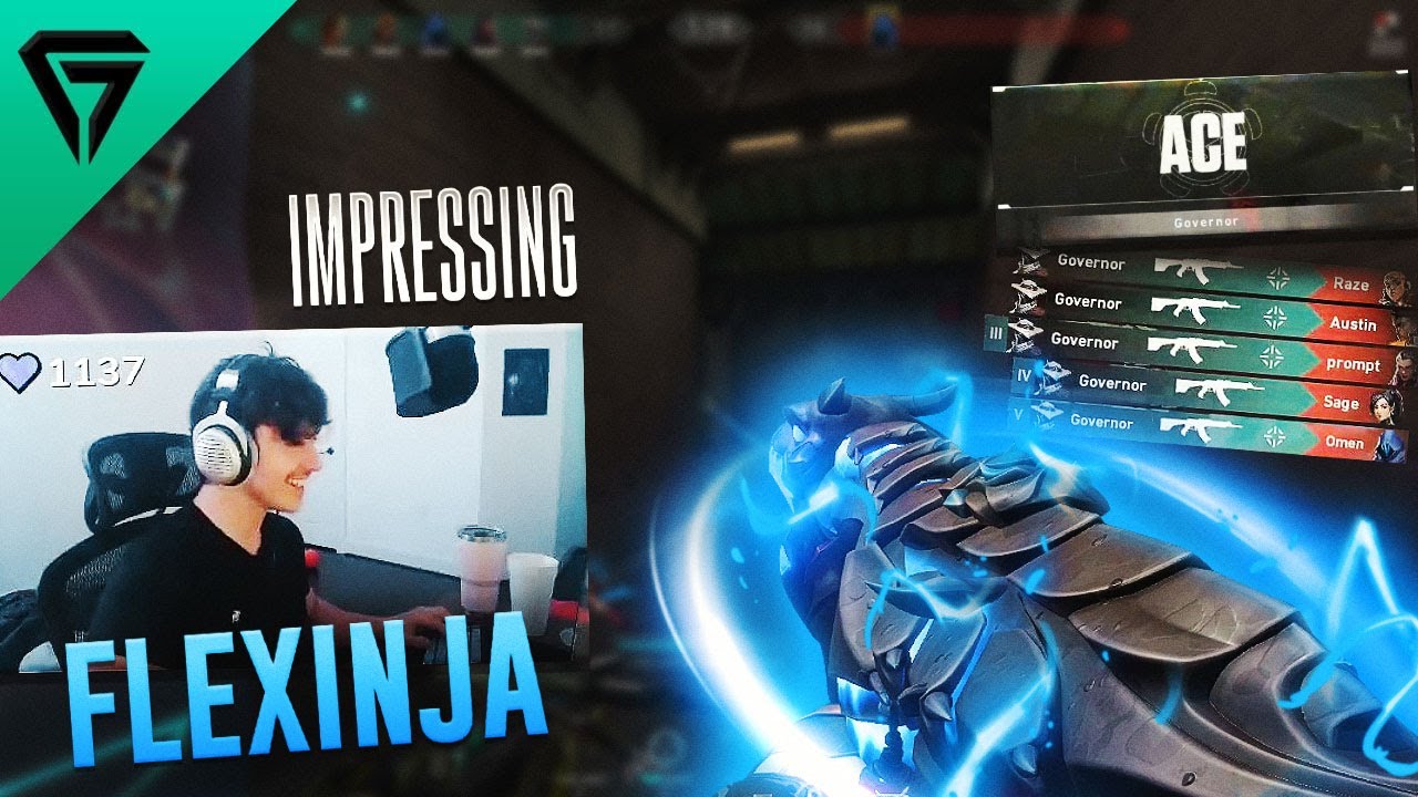 Flexinja Valorant Settings
