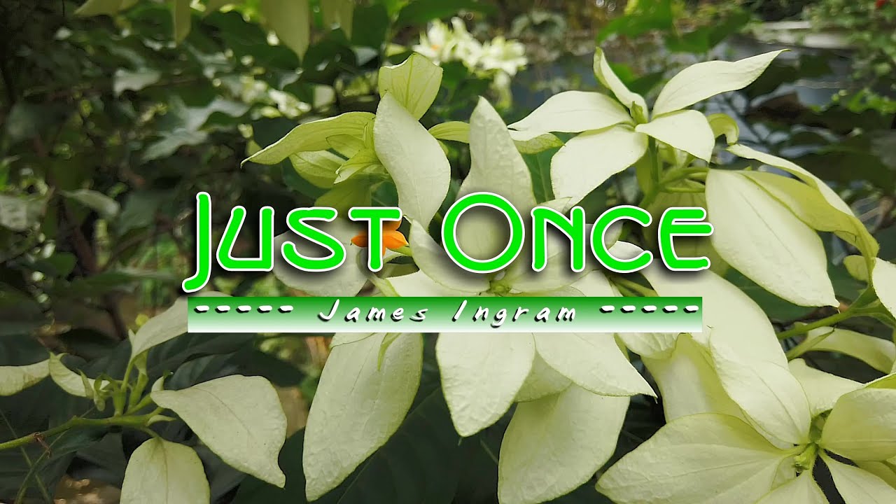 JUST ONCE - (4k Karaoke Version) - in the style of James Ingram - YouTube
