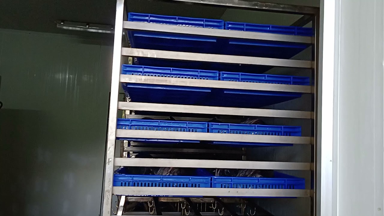 Fish freezing (Tuna) - YouTube