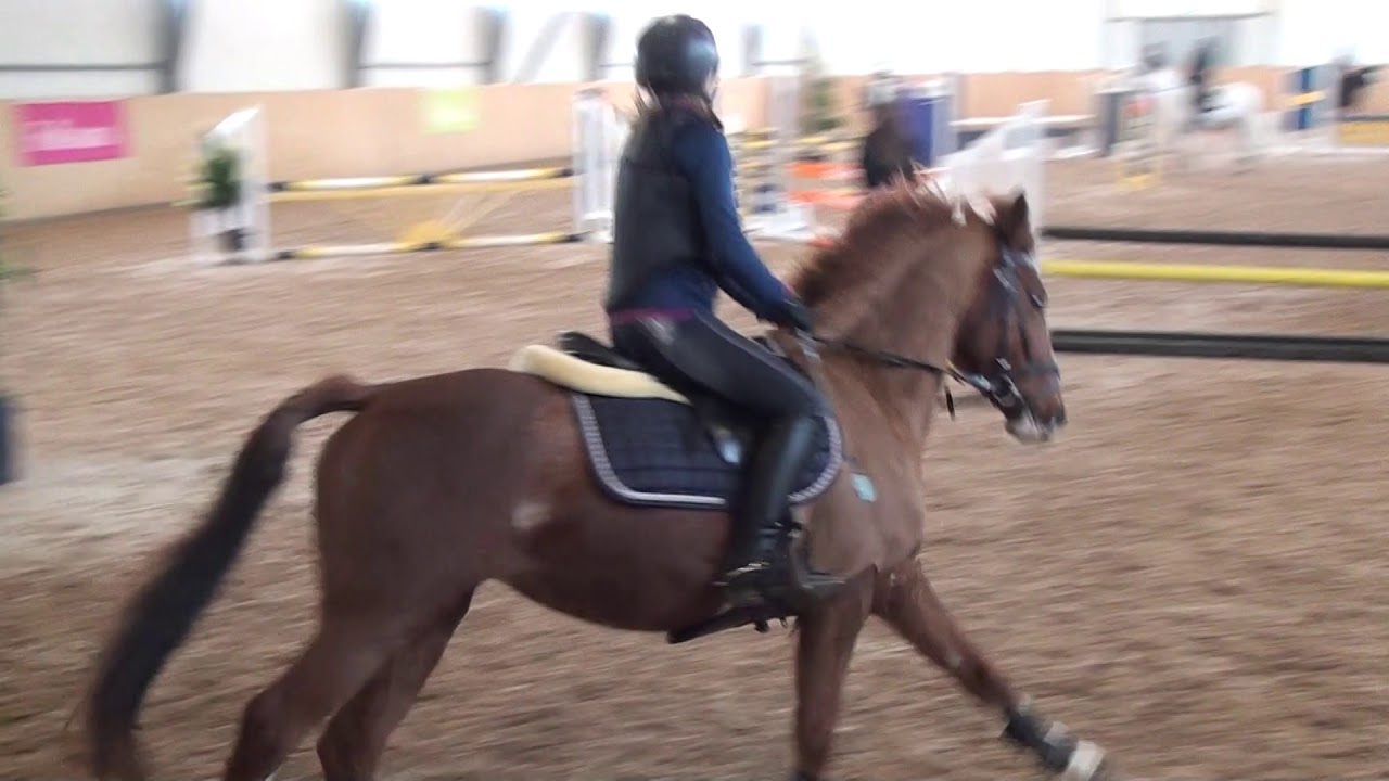 Oxer 90 cm - YouTube