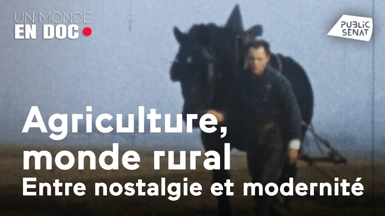 Un monde en doc : Agriculture, monde rural, entre nostalgie et la ...