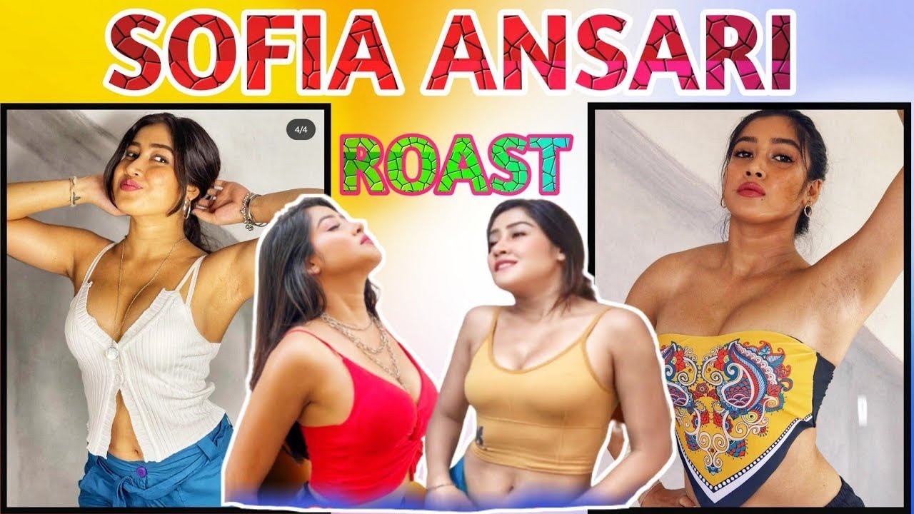 Sofia Ansari roast again by bihariboy || this is my first video. please like kare aur subscribe ...