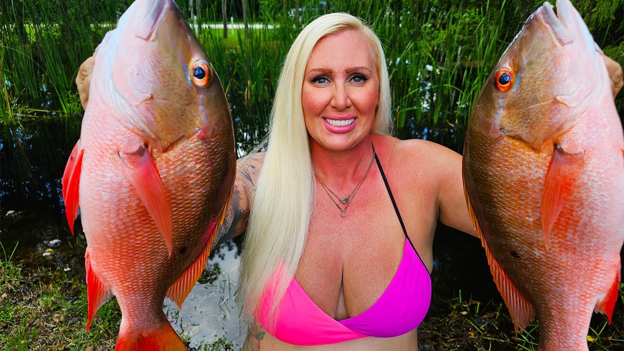 EPIC Snapper Fishing MULTIPLE Species Catch And Cook - YouTube