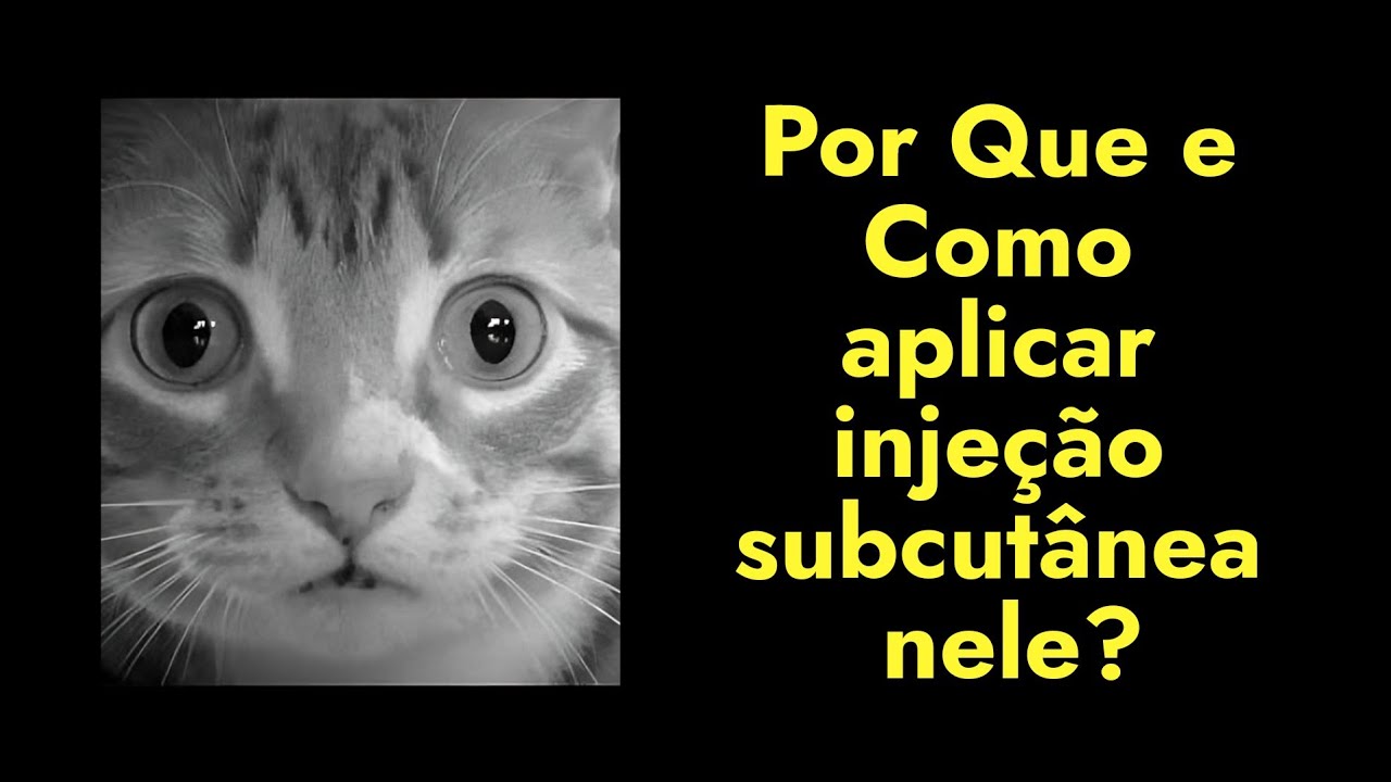 COMO APLICAR INJEÇÃO SUBCUTÂNEA EM GATOS - EXPLICADO - YouTube