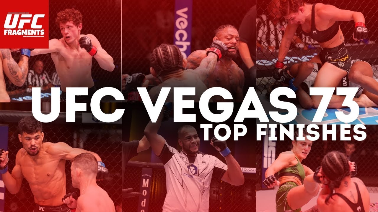 UFC VEGAS 73 HIGHLIGHTS! UFC VEGAS 73 TOP FINISHES! - YouTube