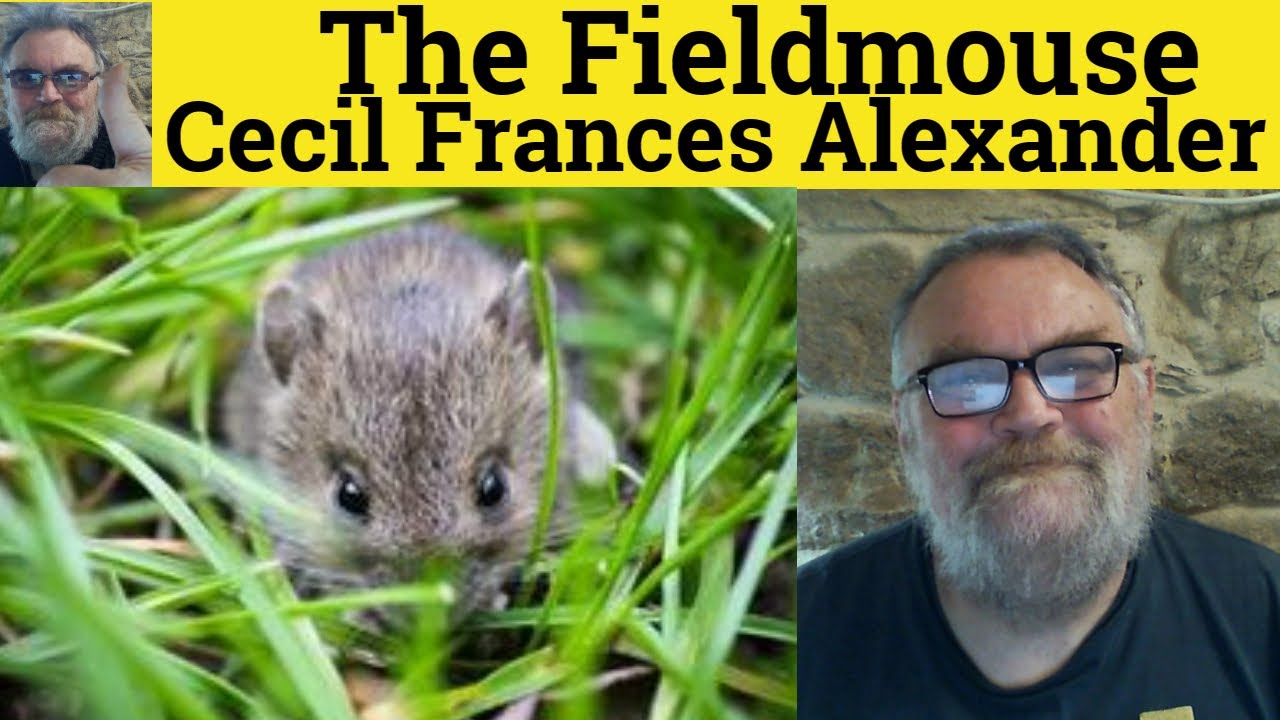 🔵The Fieldmouse Poem Cecil Frances Alexander Summary Analysis The ...