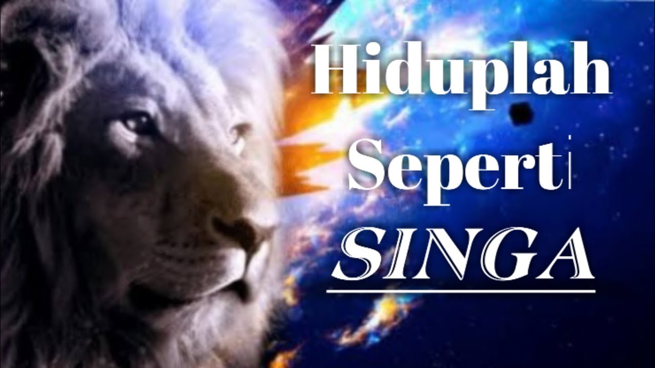 Kata Kata Bijak Terbaru Hiduplah Seperti Singa - YouTube