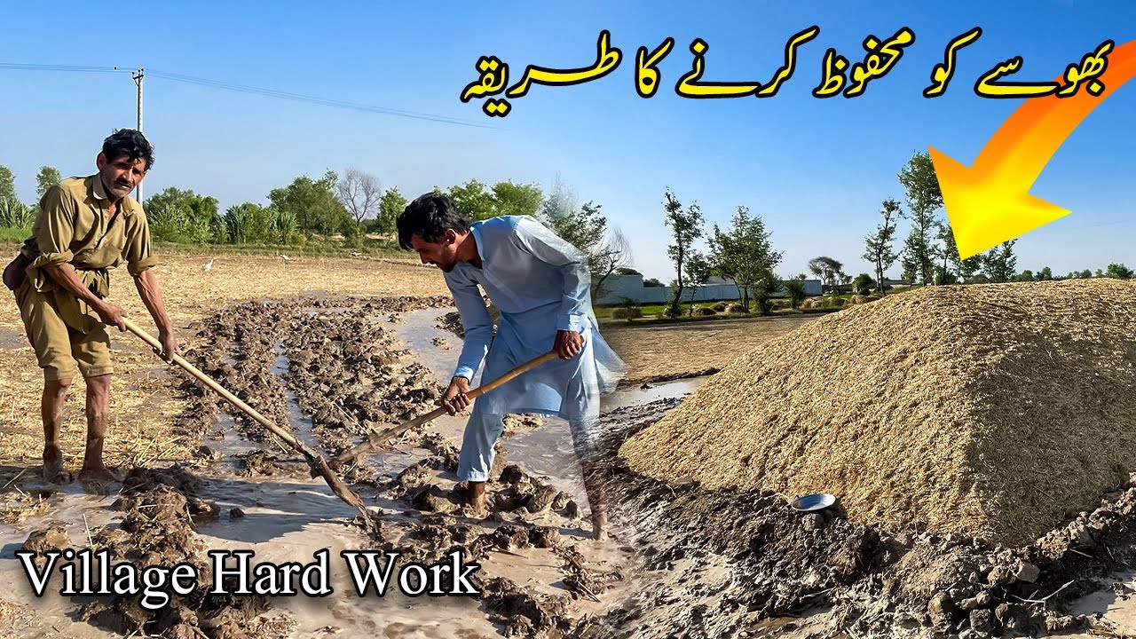 Bhoosa ko store Karne ka tarika | VLOG | village life in Pakistan ...