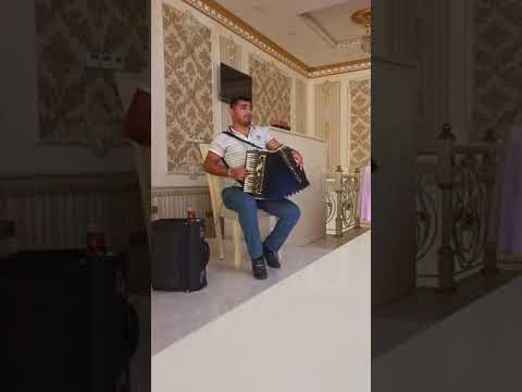 heyati reqsi müseyib şakir oglu qarmon elman sintez