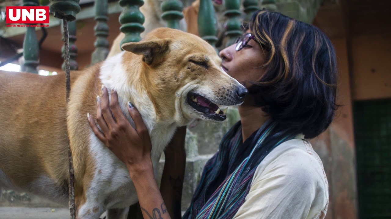 Animal Shelter in Bangladesh | Street Cat Rescue | Street Dog Rescue ...