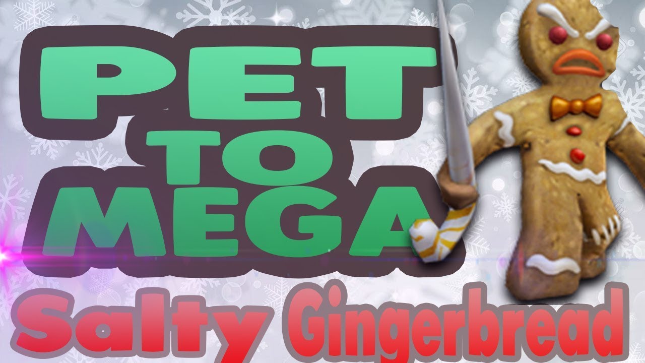 Wizard101 NEW Salty Gingerbread Pet TO Mega First Gen - YouTube