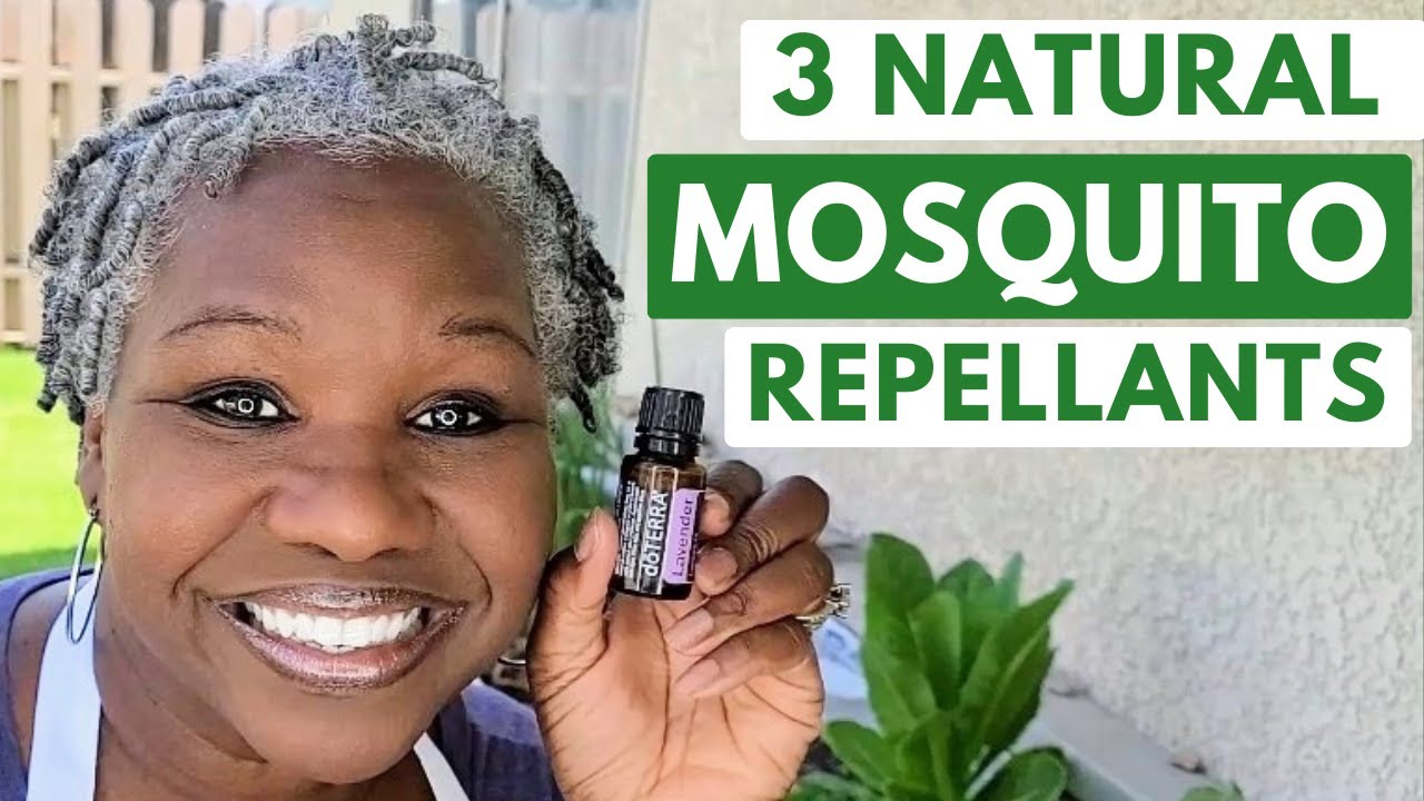3 Natural Mosquito Repellants That WORK! - YouTube