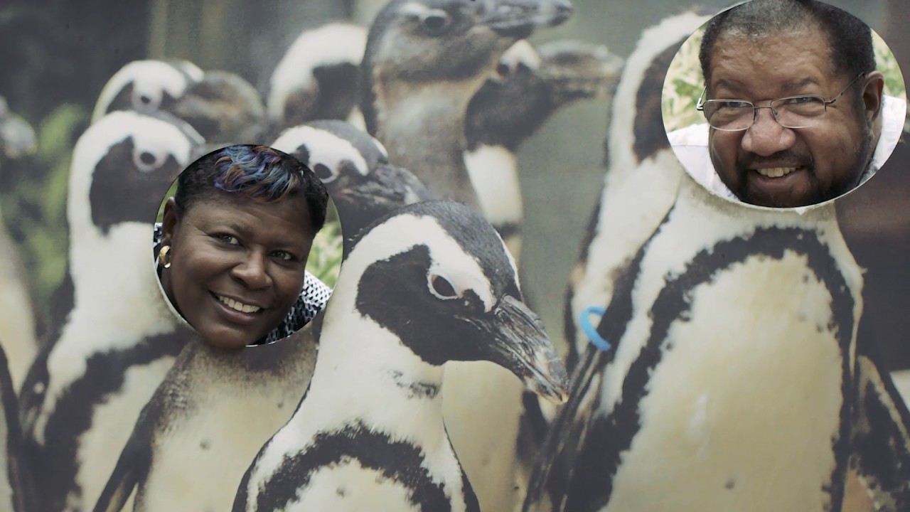 Seneca Park Zoo - TV Commercial 2 (2017) - YouTube