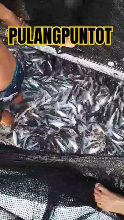 SUBRANG DAMING ISDA #fishing #adventure #romblon #pangulong - YouTube