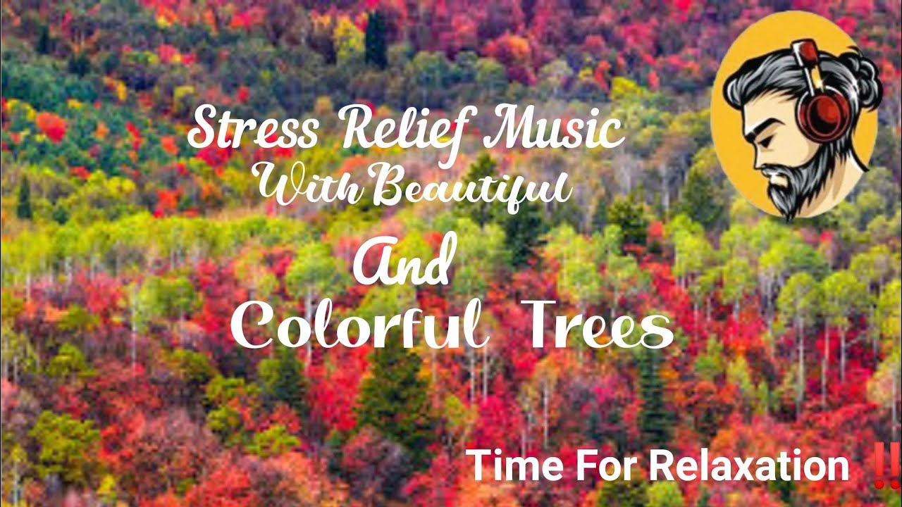 Relaxation music || Relaxation video 📷 || Stress relief music 🎶 || with ...