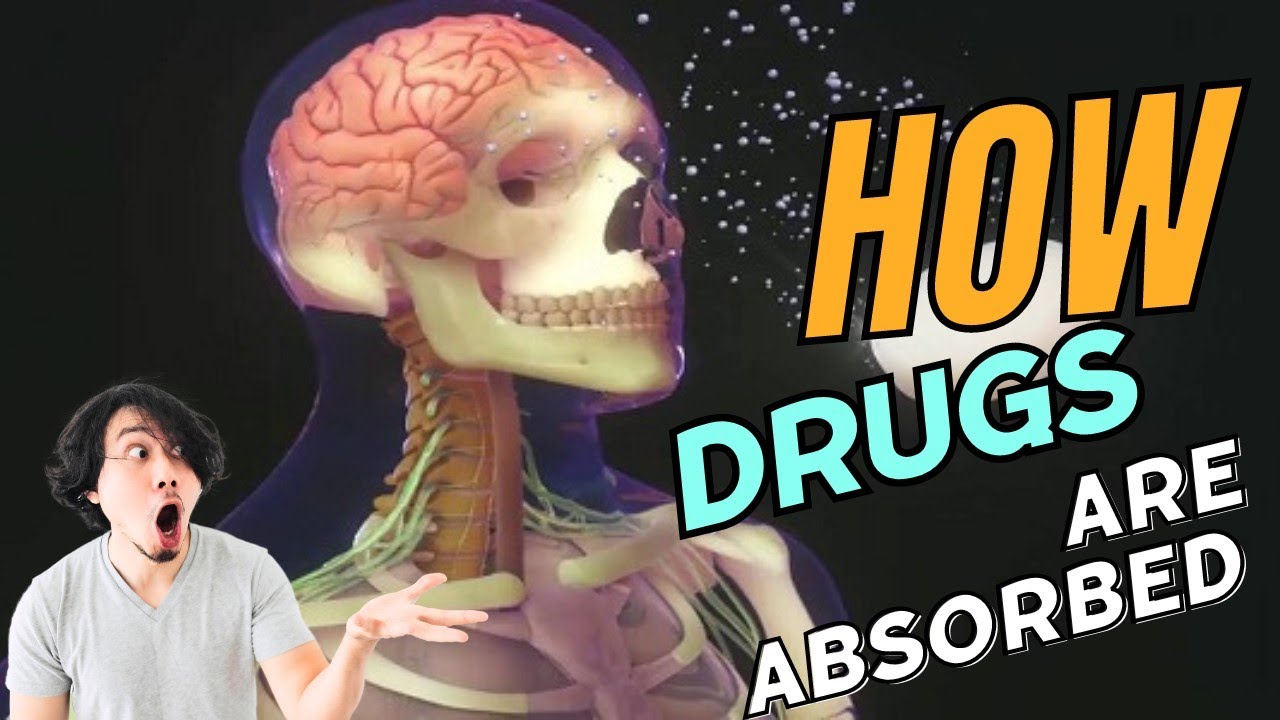 How the medicines are absorbed || Drugs absorption #genralpharmacology ...