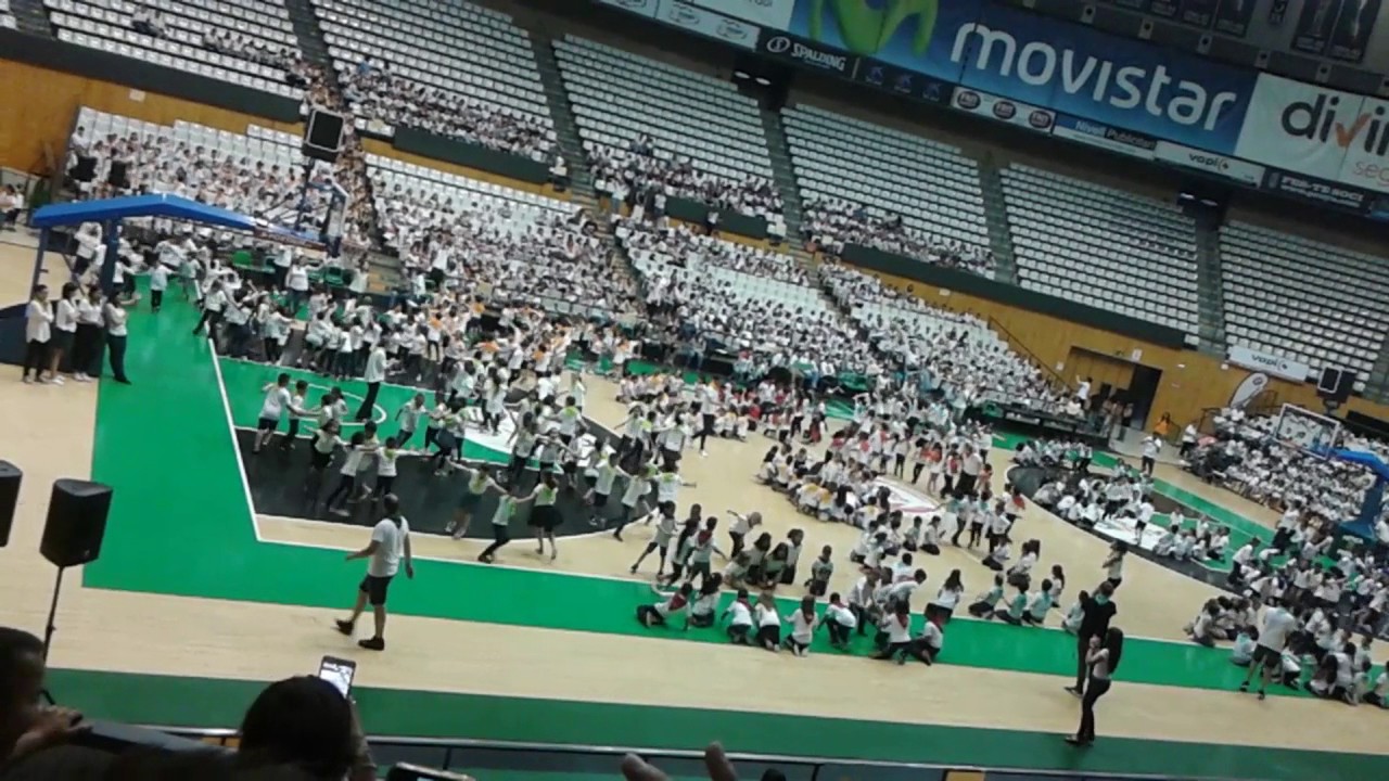 Primer Ball 2 2017 - YouTube