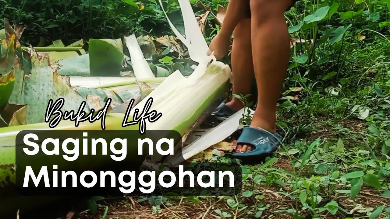 Tara! Luto Tayo ng UBOD ng SAGING! Napaka simple na ulam, masustansya ...