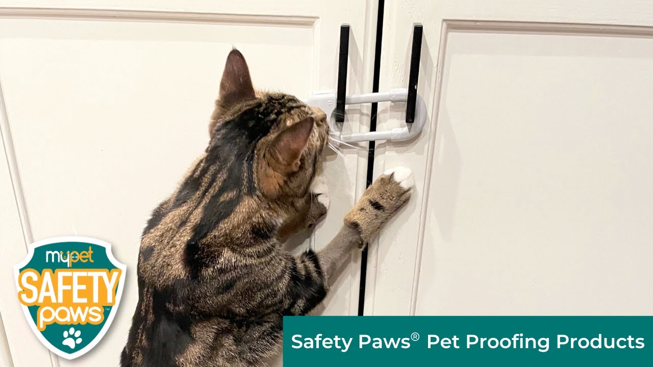 Safety Paws Pet Proofing Products - YouTube