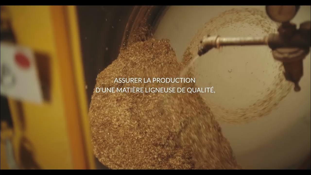 Présentation de la production de semences et de plants forestiers - YouTube