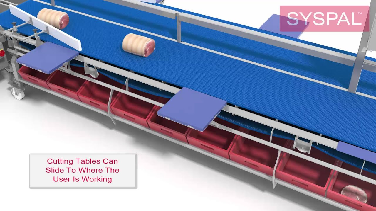 SYSPAL Twin Lane Conveyor - YouTube