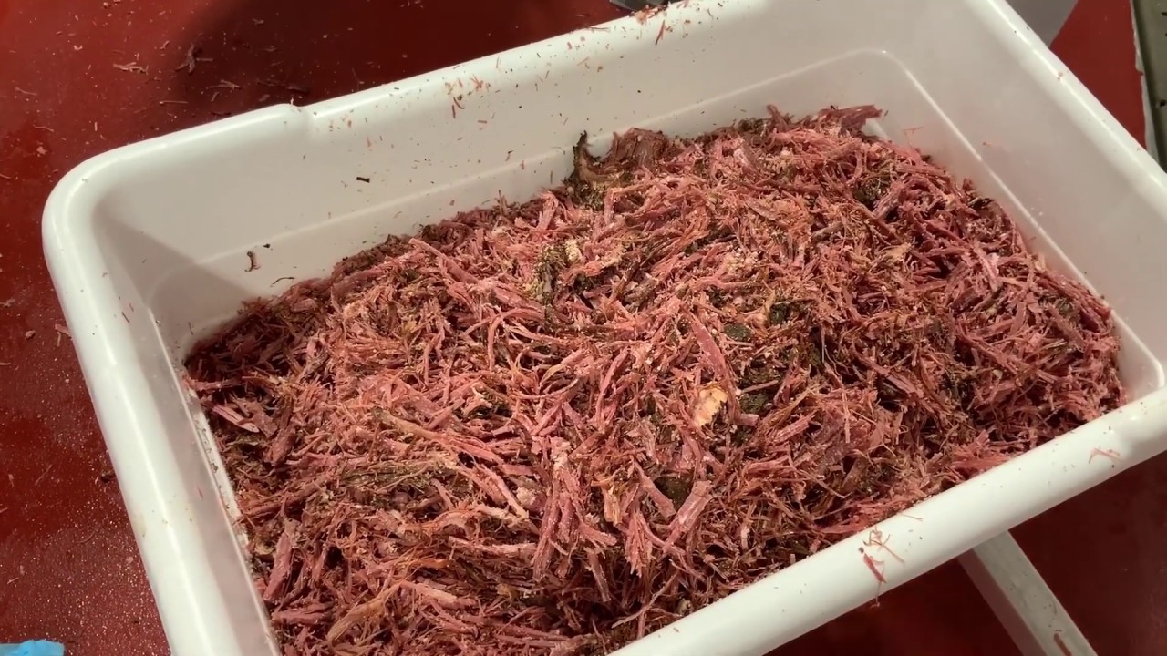 SH 5 Shredding Cold Beef Brisket - YouTube