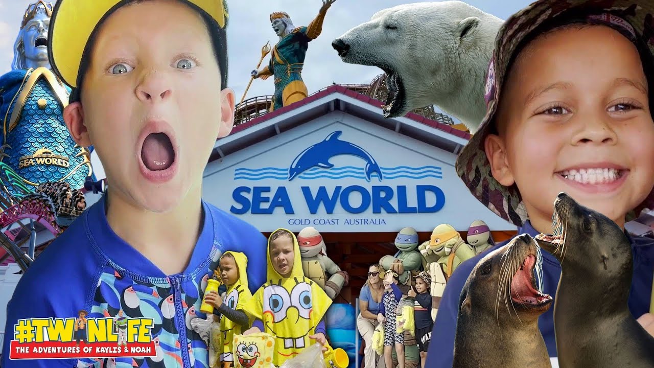 SEA WORLD GOLD COAST | Australia's BEST Theme Park | Queensland ...