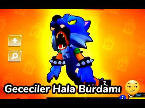 Geceliler Burdamı? 🧐