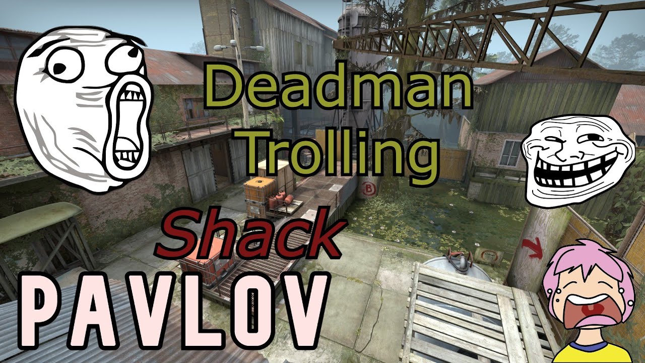 Pavlov shack trolling little kids by playing dead. - YouTube