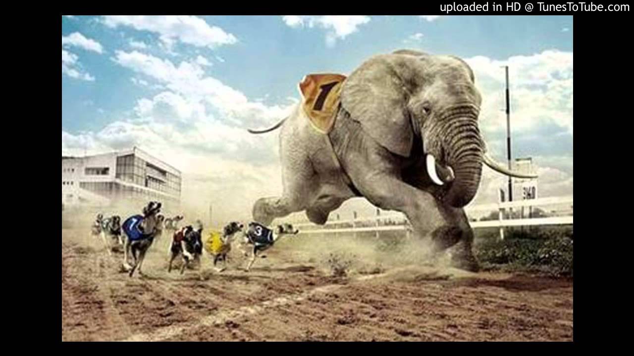 AYVEE - That's Just How It Go - YouTube