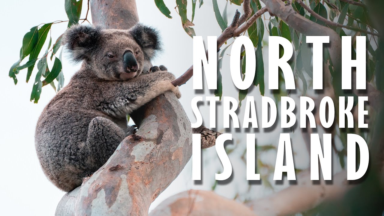 North Stradbroke Island (Straddie) - A Short Cinematic Video - YouTube