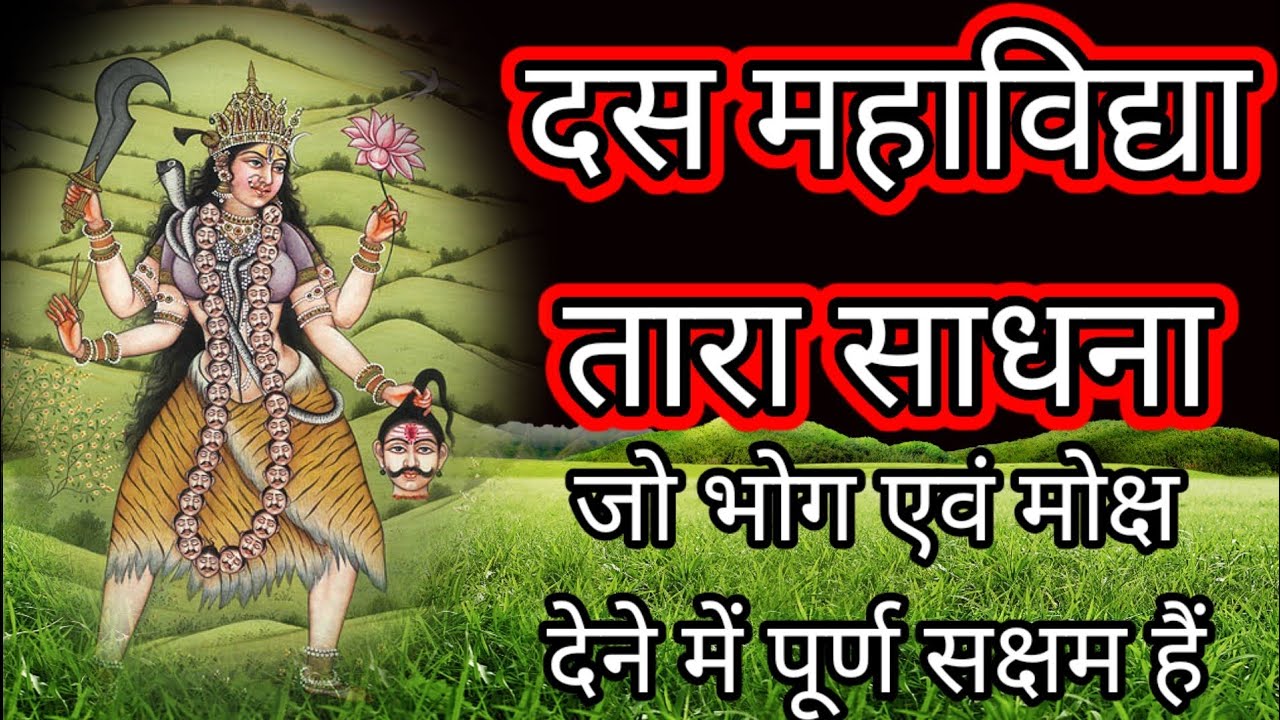 Maha Vidhya Tara तारा महाविद्या जो चतुर पुरुषार्थ धर्म,अर्थ,काम,मोक्ष ...