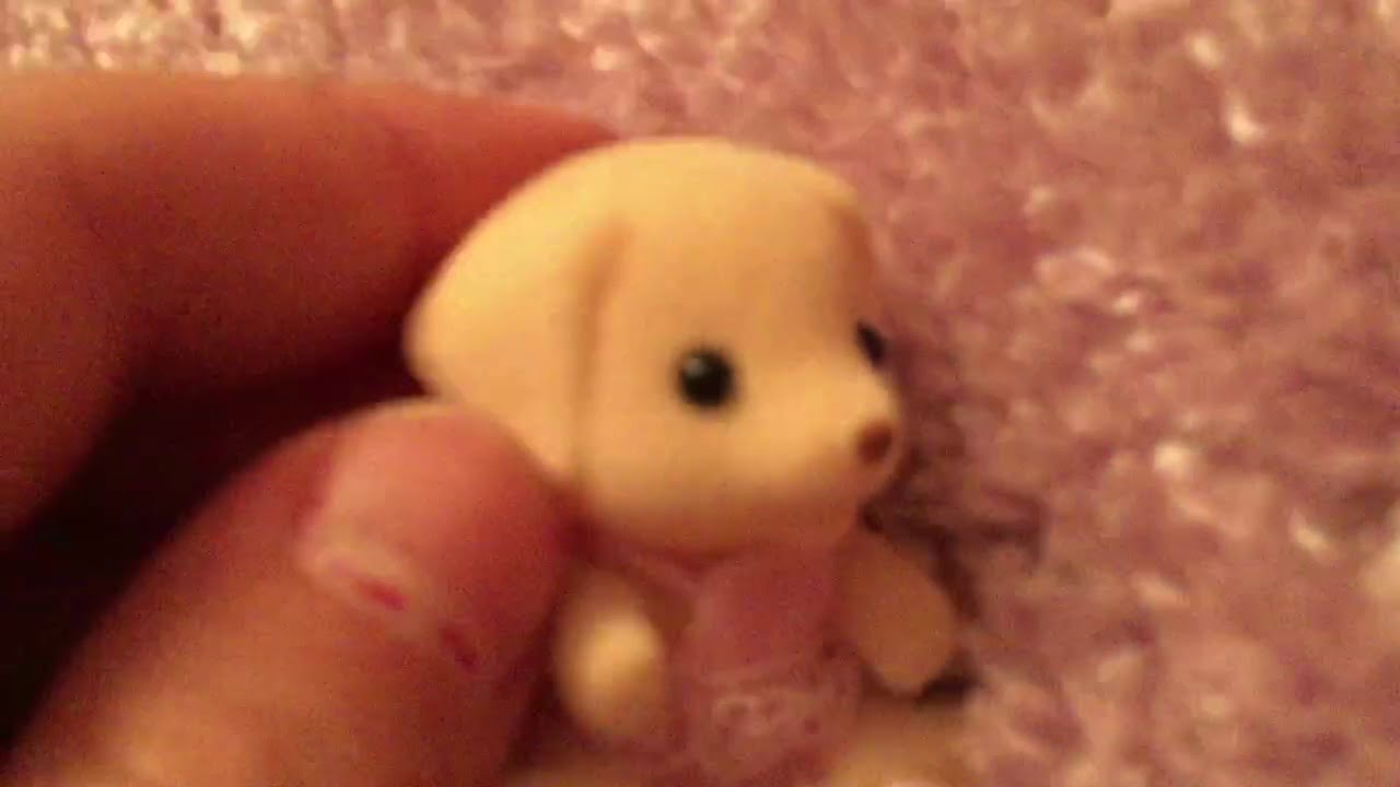 Calico Critters yellow Labrador twins opening - YouTube