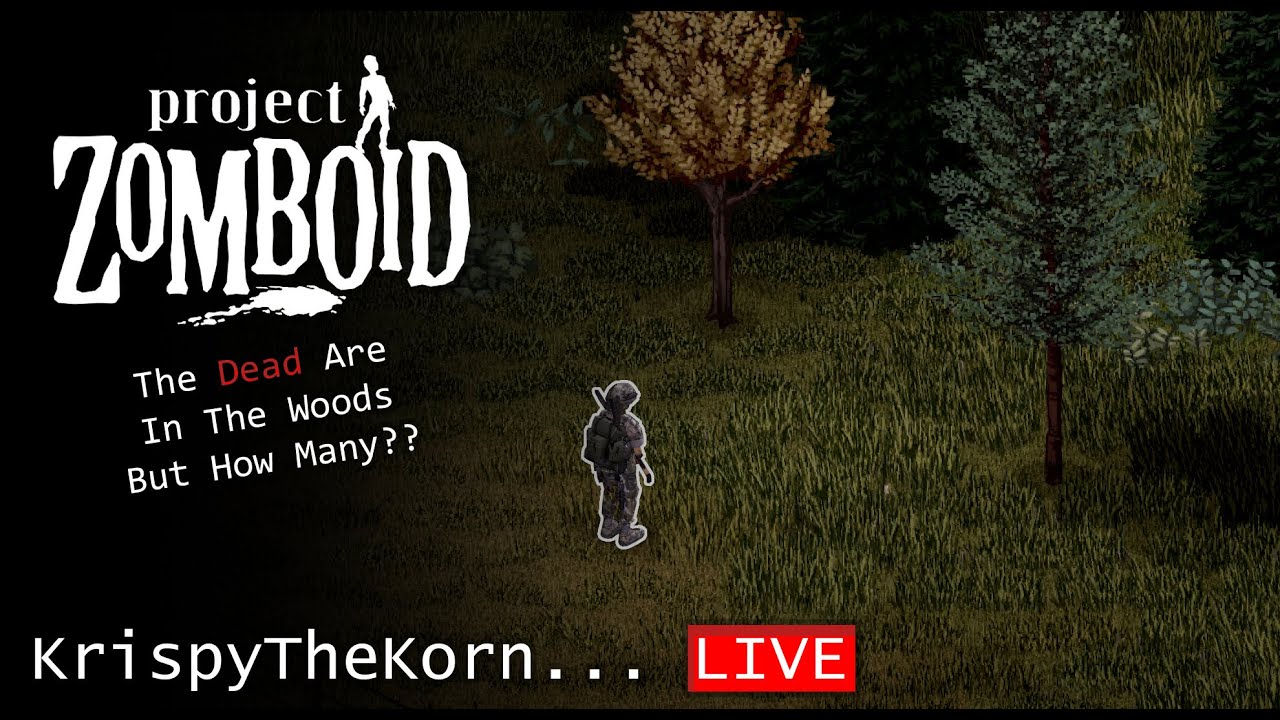 Drawing Out The DEAD!! Project Zomboid (PC Gameplay 1440p) - YouTube