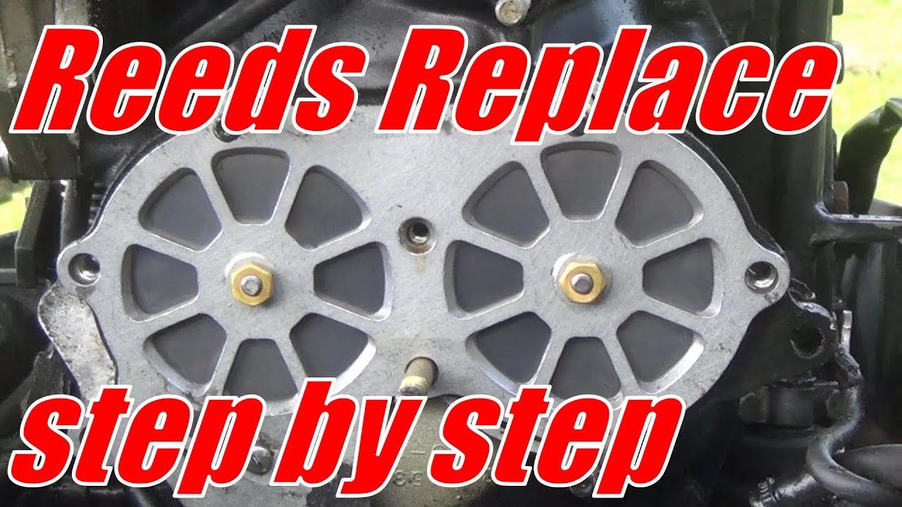 Evinrude Reeds Replace the Easy Way {step by step} - YouTube