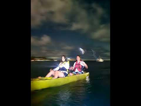 Caiaque no mangue noturno com bioluminescência em Boipeba com a ECOMAR.
